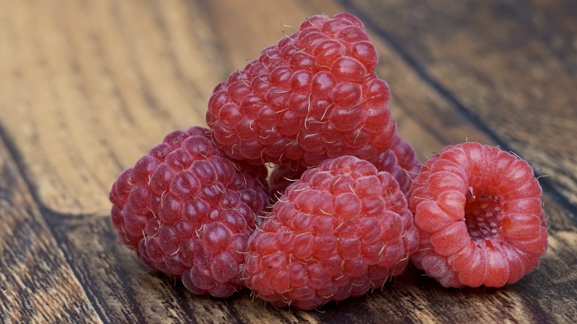 Raspberries – CalPac Berry Plants